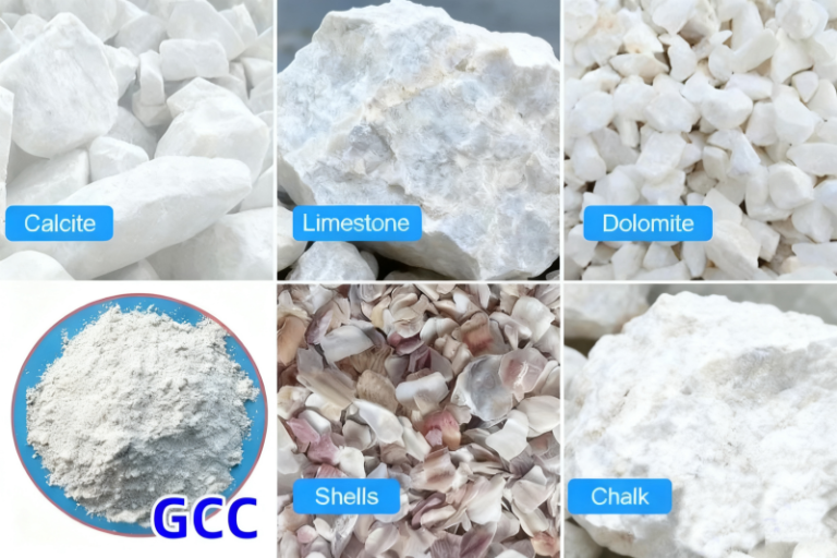 The Six Perspectives: What Do We Need to Know About Ground Calcium ...